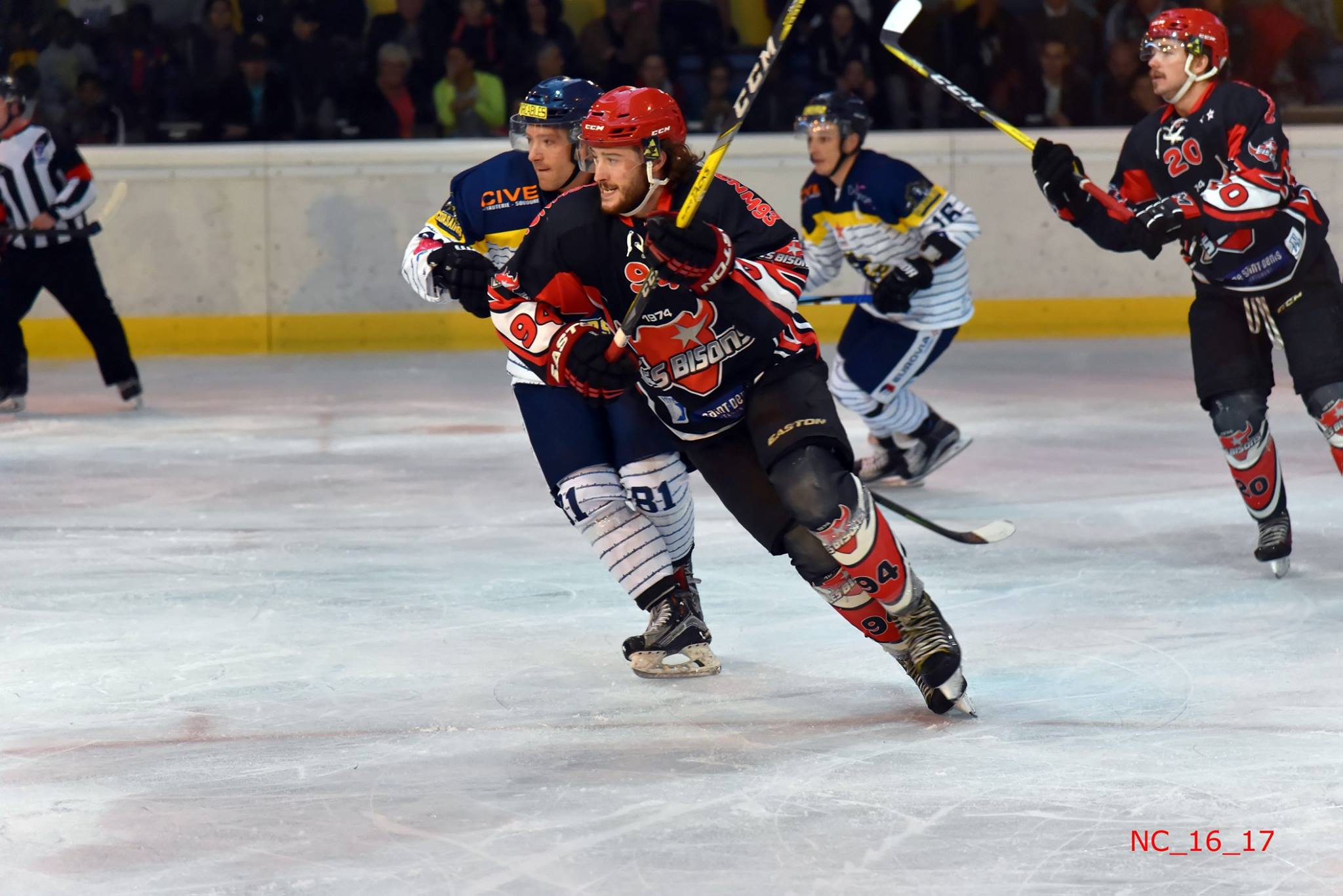 D1 – Résultat Neuilly-Dunkerque | Les Bisons